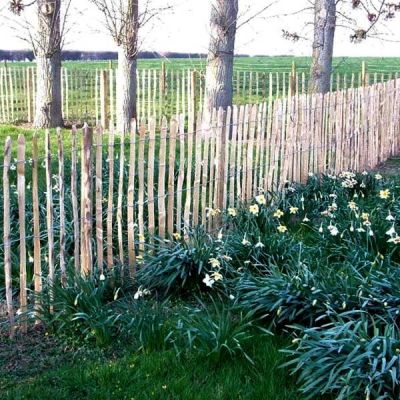 Chestnut Fencing